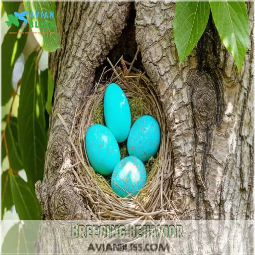 Blue Jay Eggs: Size, Color & Secrets of Nesting Revealed!