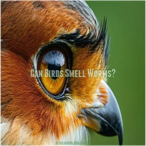 How Do Birds Find Worms? Secrets Behind Their Incredible Senses