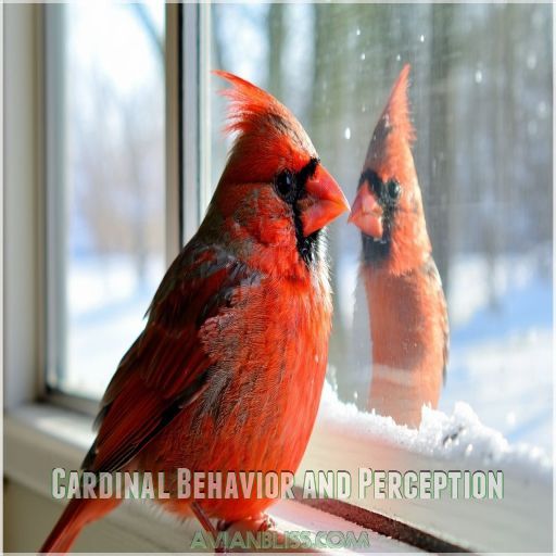 Why Do Cardinals Fly Into Windows? 5 Shocking Reasons & Easy Solutions!