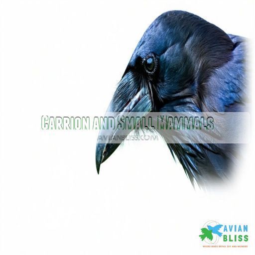 What Do Ravens Eat? From Roadkill to Berries - a Bird's Buffet Guide