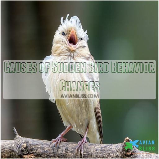 Why is My Bird Acting Strange? Signs Your Pet Needs Help