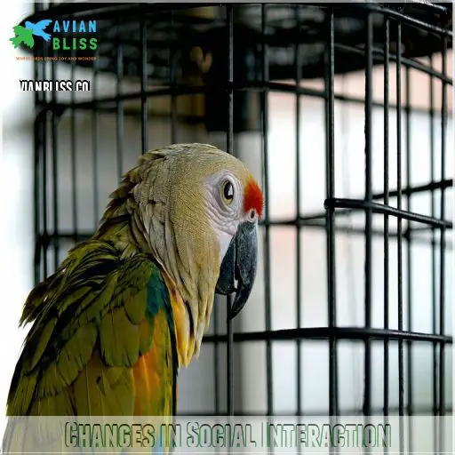 Bird Behavior Changes Illness: 10 Warning Signs That Could Save Their Life