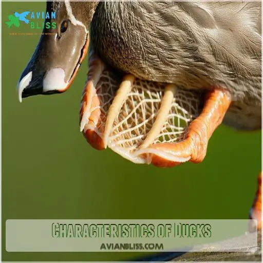 Are Ducks Birds? Discover Surprising Facts & Insights!