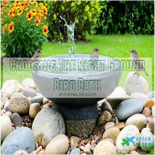 Ground Bird Bath for Small Yards: 9 Top Picks That Birds Love [2024]