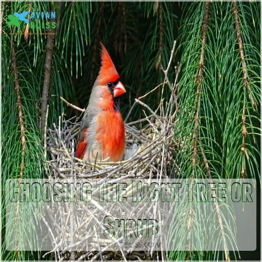 When Do Cardinals Lay Eggs? Amazing Facts!