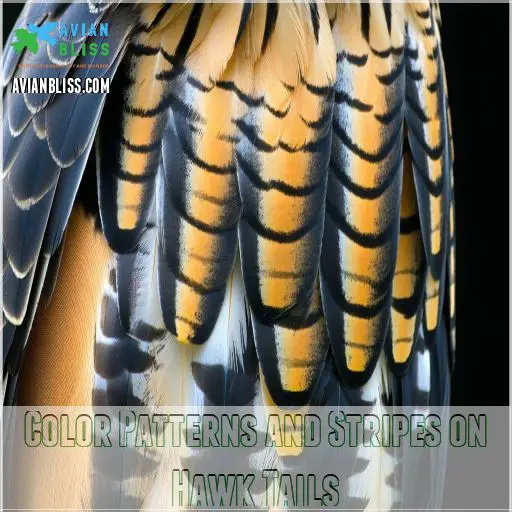 Hawks With Striped Tails: 10 Must-Know Bird ID Tips!