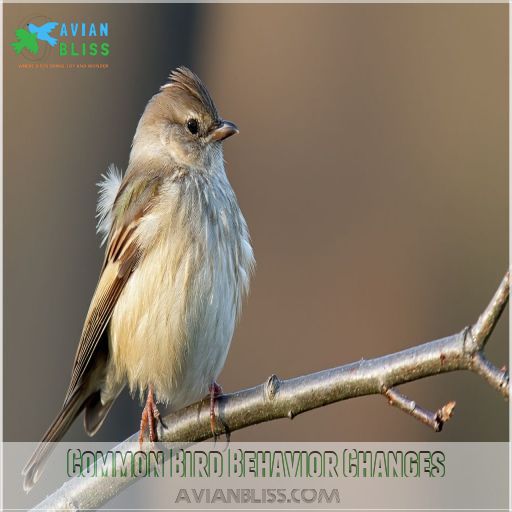 Why is My Bird Acting Strange? Signs Your Pet Needs Help