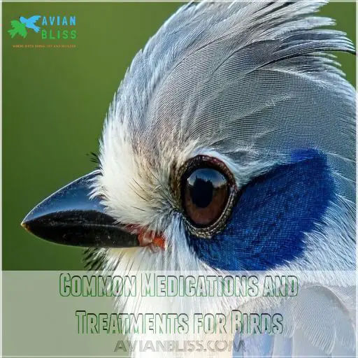 Pet Bird Vet Visit Checklist: Secrets Your Feathered Friend Needs!