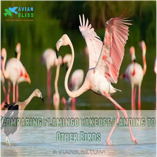 Do Flamingo Fly? The Shocking Truth About These Pink Birds' Aerial Powers