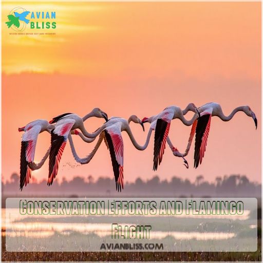 Do Flamingo Fly? The Shocking Truth About These Pink Birds' Aerial Powers
