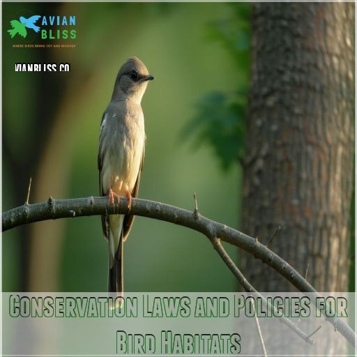 Importance of Habitat Preservation for Birds: Key to Survival