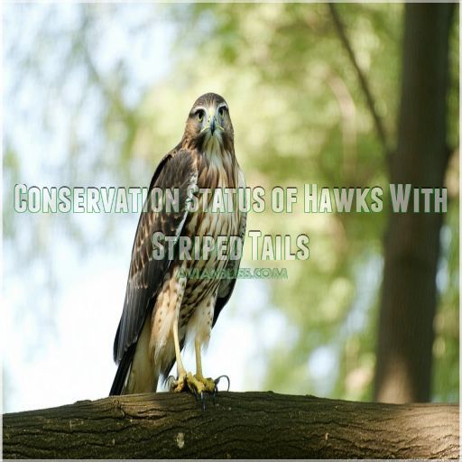 Hawks With Striped Tails: 10 Must-Know Bird ID Tips!