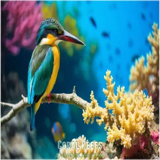 Types of Birds and Their Habitats: Explore Diverse Environments