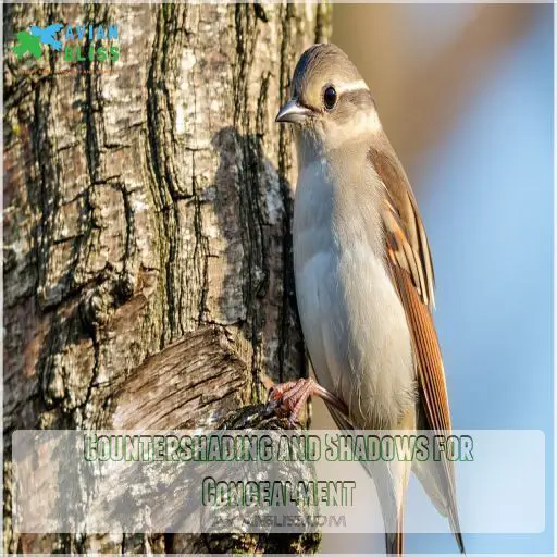 Fascinating Bird Camouflage Techniques: Secrets of Survival