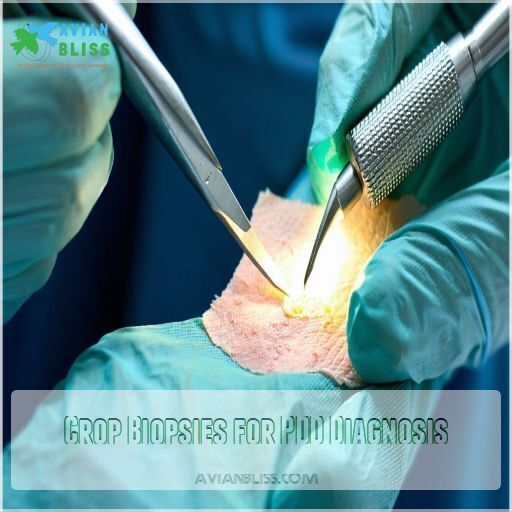 Bird Vet Surgery: Your Guide to Safe, Successful Avian Care in 2024