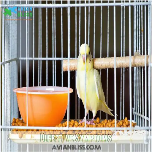 Why is My Bird Acting Strange? Signs Your Pet Needs Help