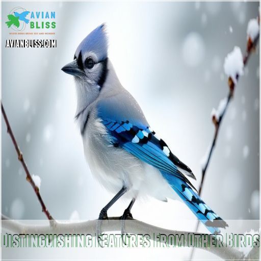 Baby Blue Jay Rescue Guide: What You Must Know Before Helping (65 Chars)