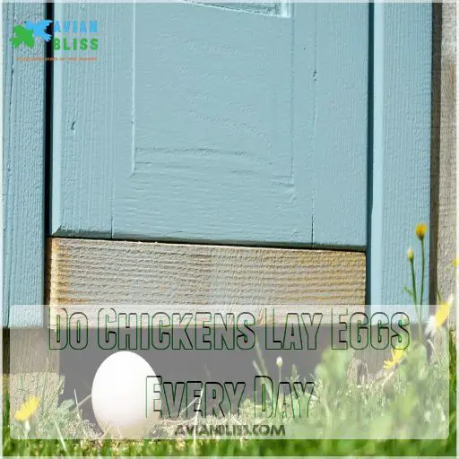 How Often Do Chickens Lay Eggs? The Complete Guide to Backyard Egg ...