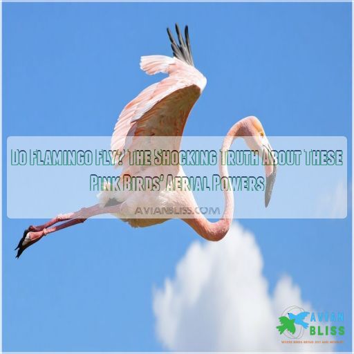 Do Flamingo Fly? The Shocking Truth About These Pink Birds' Aerial Powers