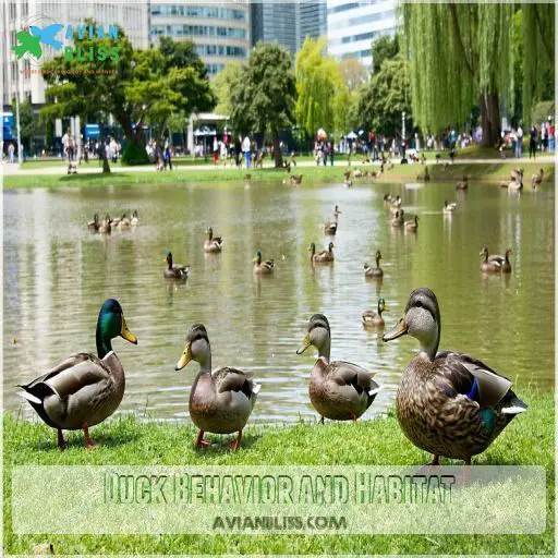 Are Ducks Birds? Discover Surprising Facts & Insights!