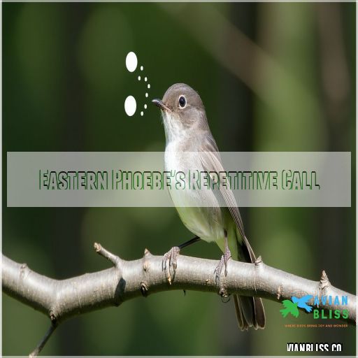 Bird Species With Unique Calls: Unusual Sounds & Their Secrets