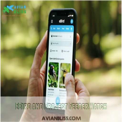 Bird Conservation Through Citizen Science: Join The Movement Today