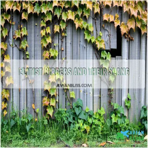 Bird Watching Slang: Secret Codes Revealed!