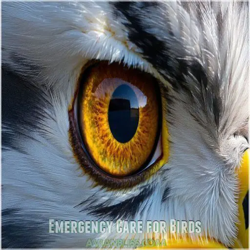 Avian Vet Emergency Services: Saving Your Feathered Friends Fast