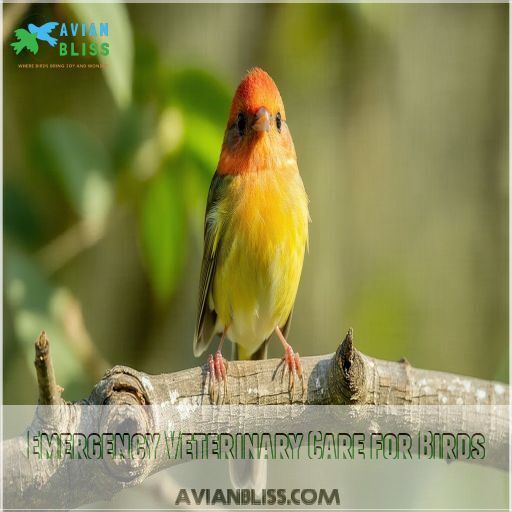 Pet Bird Vet Visit Checklist: Secrets Your Feathered Friend Needs!