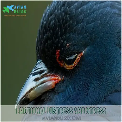 Bird Sleeping More Than Usual? 7 Red Flags You Can't Ignore