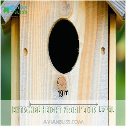 Bird House Dimensions for Different Species: Expert Guide & Tips