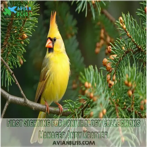 Are There Yellow Cardinals? The 1-in-a-Million Bird Miracle!