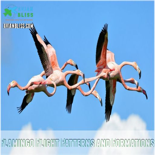 Do Flamingo Fly? The Shocking Truth About These Pink Birds' Aerial Powers