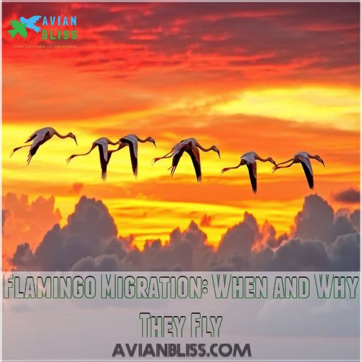 Do Flamingo Fly? The Shocking Truth About These Pink Birds' Aerial Powers