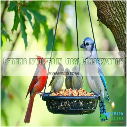 5 Surprising Ways Bird Conservation Organizations Can Impact Me