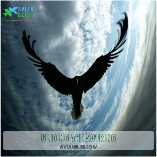 How Do Birds Fly in Strong Winds? Nature's Amazing Aerial Survival Skills