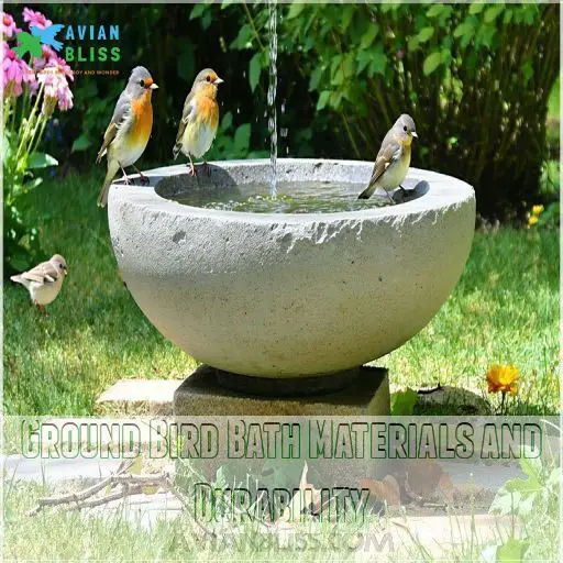 Ground Bird Bath Shallow Tips for Attracting Birds and Keeping Them Safe