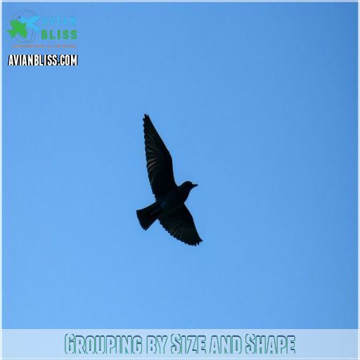 How to Identify Birds in Flight: Expert Tips for Quick & Easy Recognition