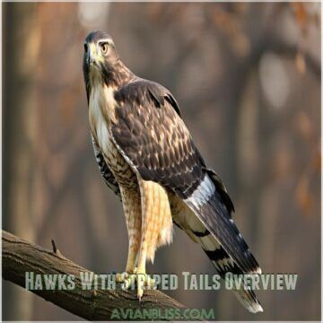 Hawks With Striped Tails: 10 Must-Know Bird ID Tips!