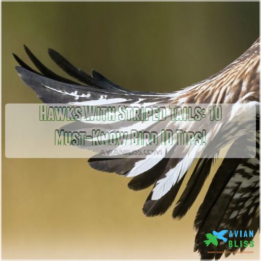 Hawks With Striped Tails: 10 Must-Know Bird ID Tips!