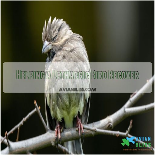 Bird Acting Lethargic? Is Your Bird Sick?