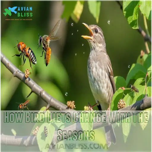 Bird Eating Habits Change: What You Should Know About Their Diets