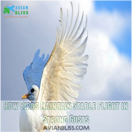 How Do Birds Fly in Strong Winds? Nature's Amazing Aerial Survival Skills