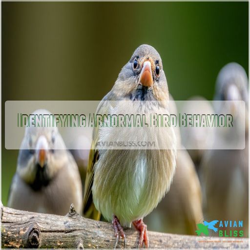 Sudden Bird Behavior Changes: 7 Warning Signs You Can't Ignore in 2024