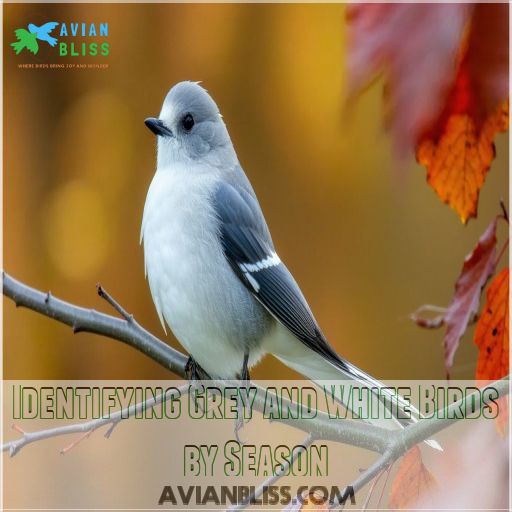 Grey and White Birds: 15 Beautiful Species You Need to See! (2024 Guide)