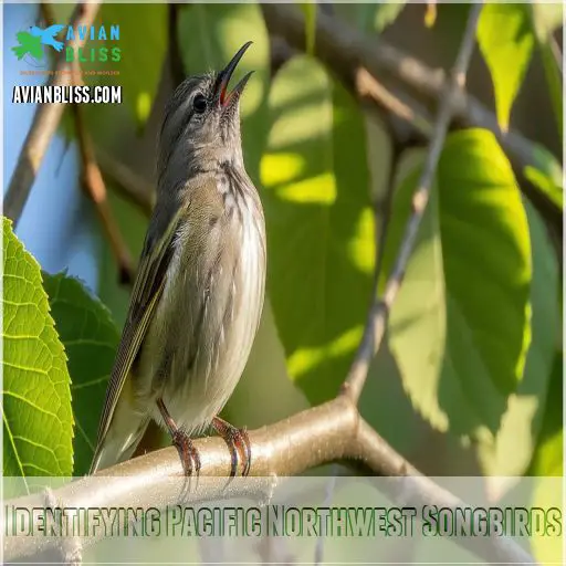 Common Songbirds of The Pacific Northwest: a Birdwatcher's Guide