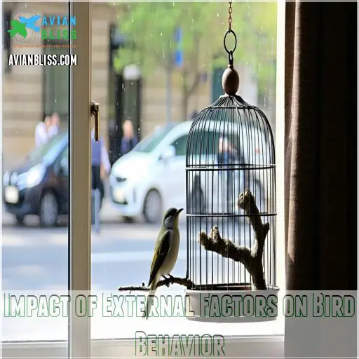 Sudden Bird Behavior Changes: 7 Warning Signs You Can't Ignore in 2024