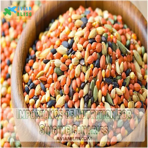 Canary Seed Mix for Singing: Boost Your Bird's Melody Now