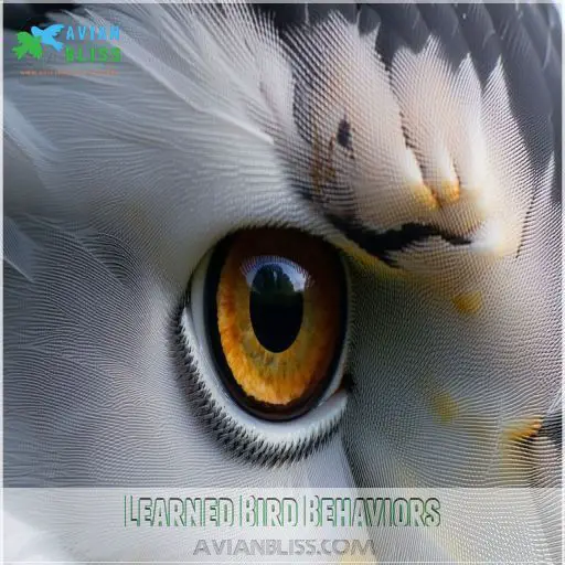 Amazing Bird Behaviors Explained: 9 Mind-Blowing Facts About Avian Life ...