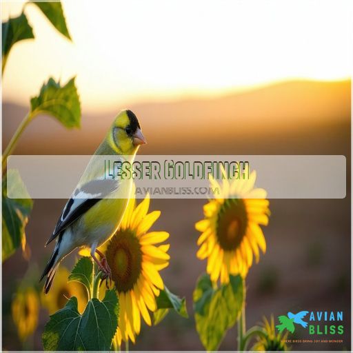 15 Must-See Birds in Arizona: Discover Native Species & Hotspots